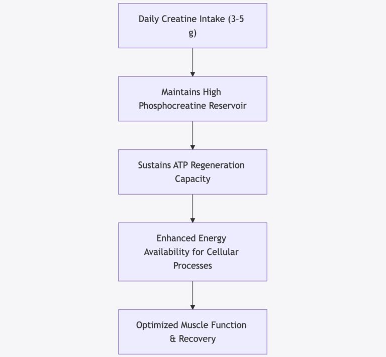 Why You Should Take Creatine on Rest Days: Muscle Recovery, Growth, and ...