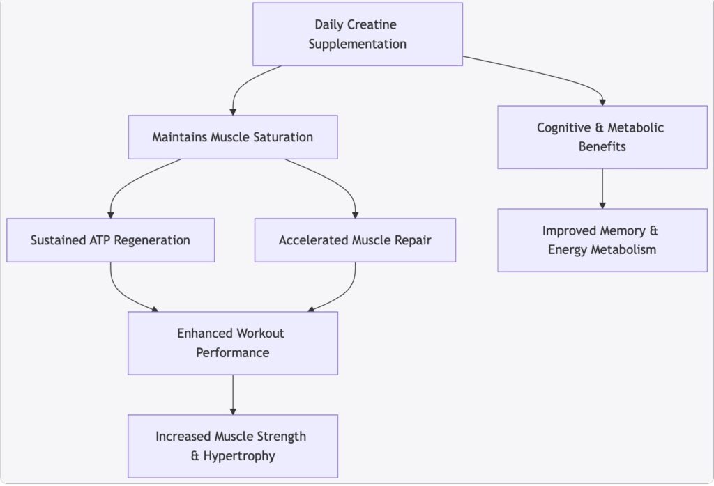 Why You Should Take Creatine on Rest Days: Muscle Recovery, Growth, and ...