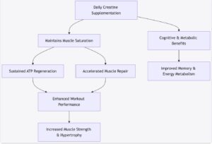Why You Should Take Creatine on Rest Days: Muscle Recovery, Growth, and ...
